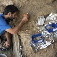 First ‘concrete picture’ of Neanderthal family revealed by DNA