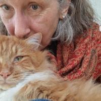 Swiss diplomat finds her cat thanks to pet tracking system - Türkiye News