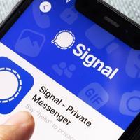 Signal to leave UK if law changes - Latest News