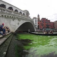 Venice’s Grand Canal turns bright green