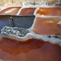 Sahara salt diggers struggle to maintain trade - Latest News