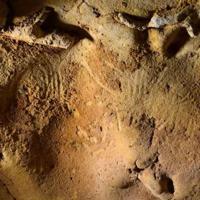Neanderthal engravings found in French cave
