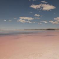 Salt Lake turns pink as microorganisms thrive - Türkiye News