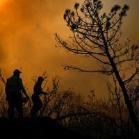 Istanbul sees record heat of 23 years as country fights wildfires ...