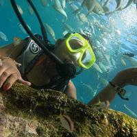Antalya aims to elevate diving tourism - Türkiye News