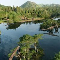 Spielberg presents nature doc ‘Life on Our Planet’