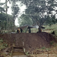 Vast network of lost ancient cities discovered in the Amazon