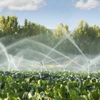 Night irrigation boosts efficiency amid drought in Turkish farms ...
