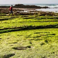 Human footprints 100,000 years old found in Morocco