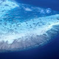 Australia's Great Barrier Reef hit by record bleaching - World News