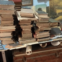 European police smash rare book theft ring