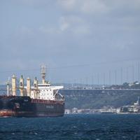 Heavy ship traffic chokes straits with air pollution - Türkiye News