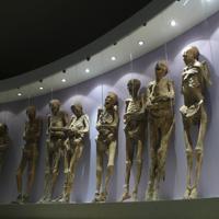 19th century mummy mishandled by museum staff
