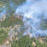 Fire outbreaks in five provinces brought under control - Türkiye News