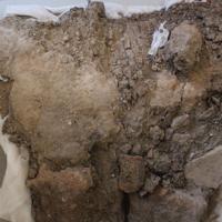 Roman-era legionary armor restored