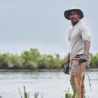 Anthony Mackie's own super power is swimming with sharks
