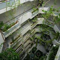 Janitor brothers transform apartment building with greenery over 30 ...