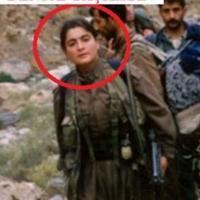 MİT captures three PKK members active in Europe - Türkiye News