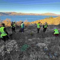 Türkiye plants millions of saplings on National Afforestation Day ...