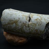 Ancient ceramic vessel features Anatolian leopard