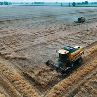 Long drought threatens agricultural production - Latest News