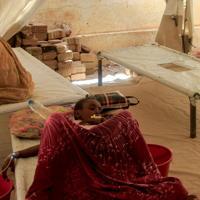 Highest number of conflicts worldwide in 2024 since 1946: Study - World ...