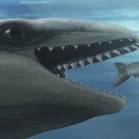 Scientists discover an ancient whale with a Pokémon face