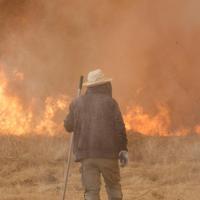 2025 summer Spain's warmest on record - World News