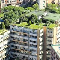 Energy-efficient buildings draw investor interest - Latest News