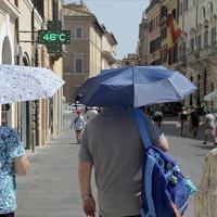 80 pct chance of El Nino developing June-August: UN - World News