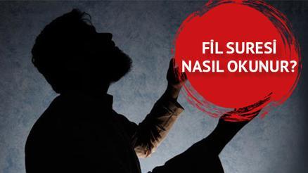 Fil Suresi Okunuşu ve Anlamı (Diyanet Meali) - Fil Suresi Arapça Türkçe Anlamı, Okunuşu, Yazılışı, Tefsiri ve Fazileti