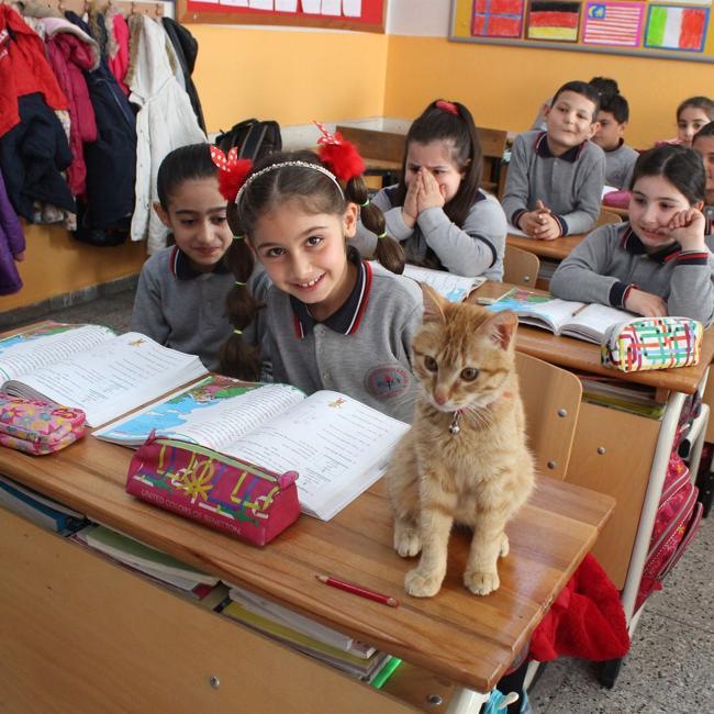 Classmate ‘Tombi the cat’ returns to school