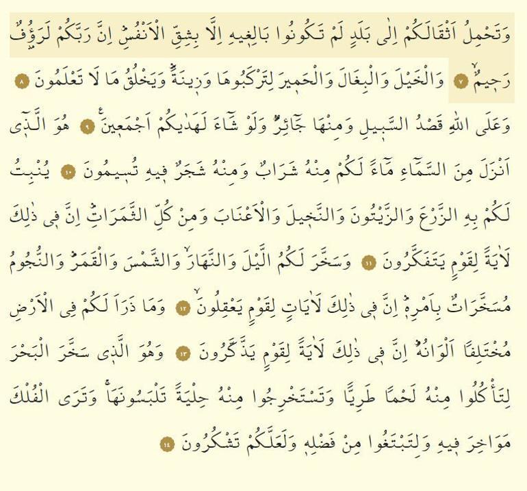 Nahl Suresi Oku - Nahl Suresi Anlamı, Tefsiri, Türkçe ve Arapça Okunuşu ...