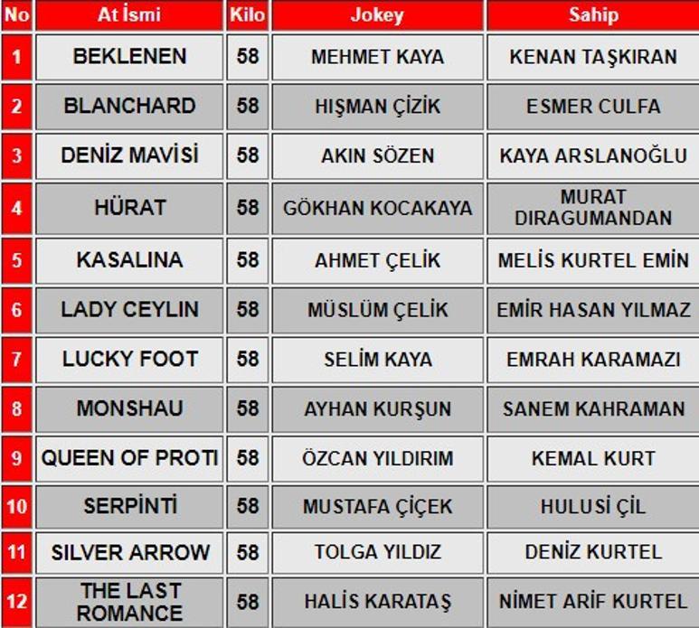 64. Erkek ve Dişi Tay Deneme Koşuları Veliefendi'de yapılacak - Spor Haberleri
