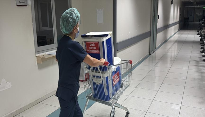 Beyin ölümü gerçekleşen genç kızın organları 3 kişiye umut oldu