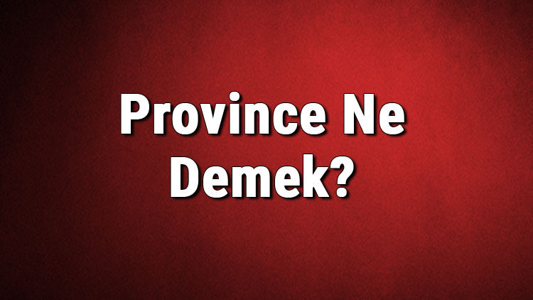 Province Ne Demek? Province Kelimesinin Türkçe Anlamı Nedir? - Haberler