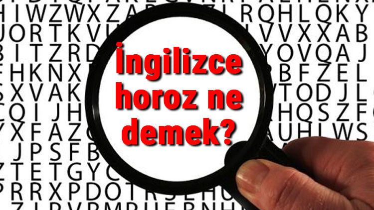 İngilizce horoz ne demek? Horoz kelimesinin İngilizce yazılışı, okunuşu ...