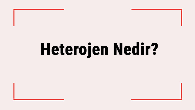 Ayran Haberleri - Son Dakika Ayran Hakkında Güncel Haber ve Bilgiler