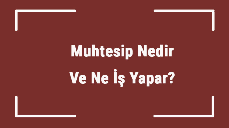 Muhtesip Nedir Ve Ne İş Yapar? Osmanlı'da Muhtesibin Görevleri - Son ...