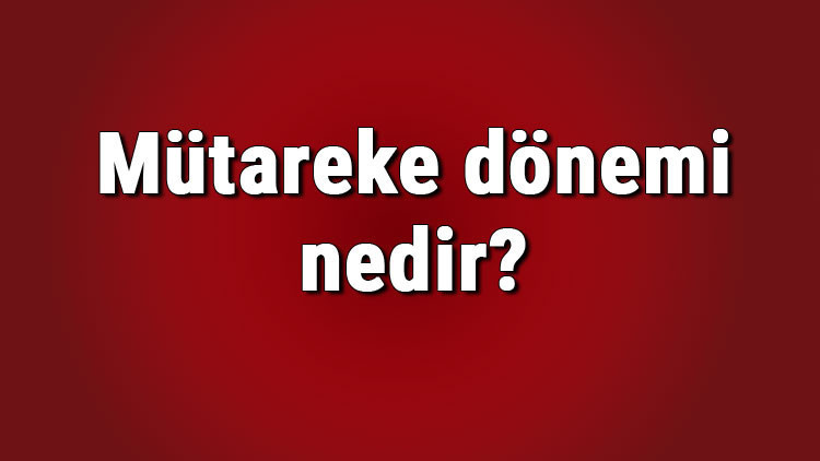 Ayşe Kulin Haberleri - Son Dakika Ayşe Kulin Hakkında Güncel Haber ve ...