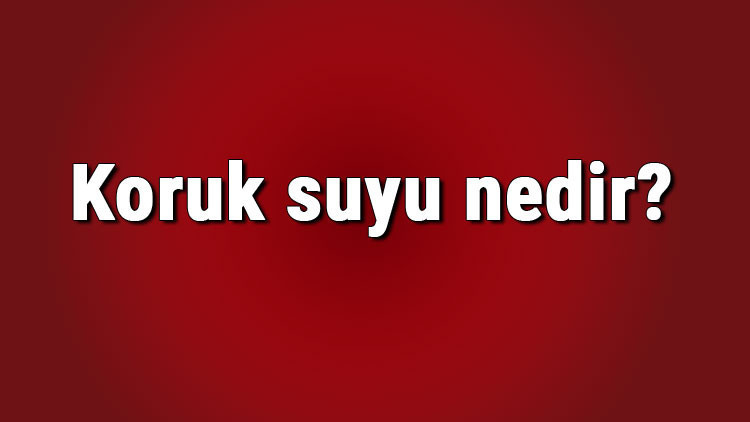 Koruk suyu nedir, nasıl yapılır ve saklanır? Koruk suyu tarifi ve ...