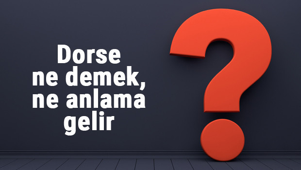 Dorse ne demek, ne anlama gelir? Dorse kelimesinin TDK sözlük anlamı ...