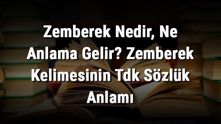 Zembil Nedir, Ne Anlama Gelir? Zembil Kelimesinin Tdk Sözlük Anlamı ...