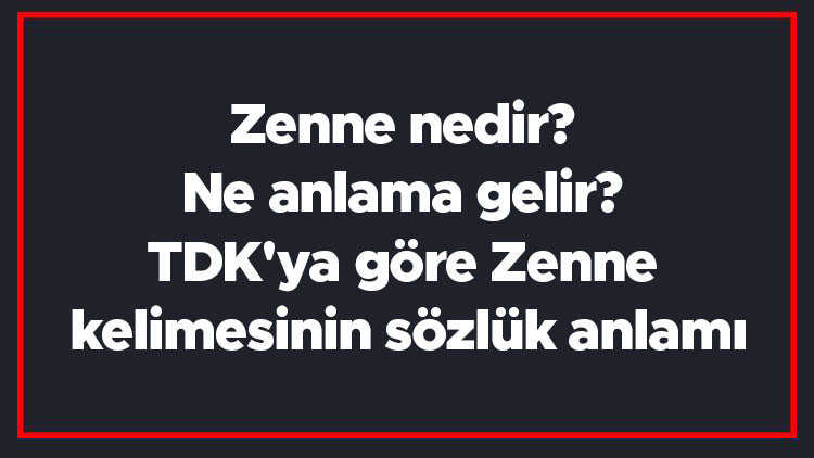 Zenne nedir? Ne anlama gelir? TDK'ya göre Zenne kelimesinin sözlük ...