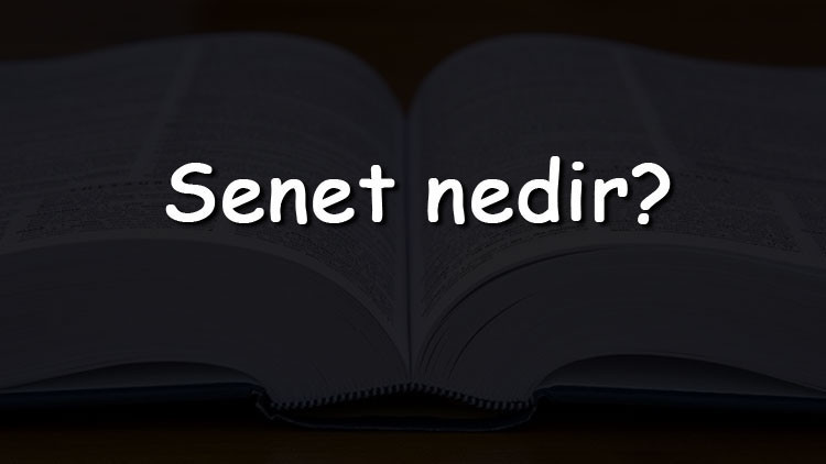 Senet nedir? Ne anlama gelir? TDK'ya göre senet kelimesinin sözlük ...