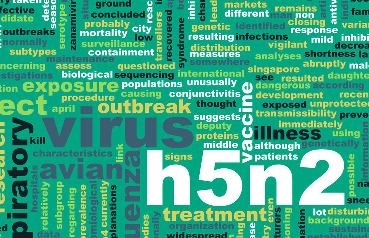 H5N2 nedir, nasıl bulaşır? H5N2 (kuş gribi virüsü) insana bulaşır mı ...