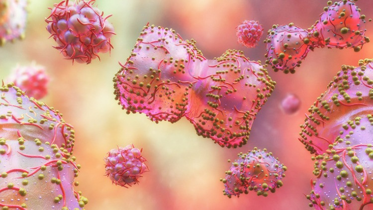 Maymun çiçeği nedir, belirtileri nelerdir? Maymun çiçeği hastalığı ...