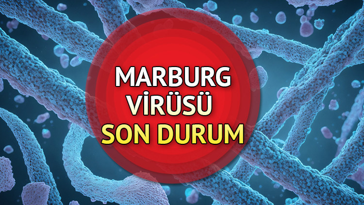 Marburg virüsü belirtileri nelerdir, nasıl anlaşılır? Marburg virüsü ...