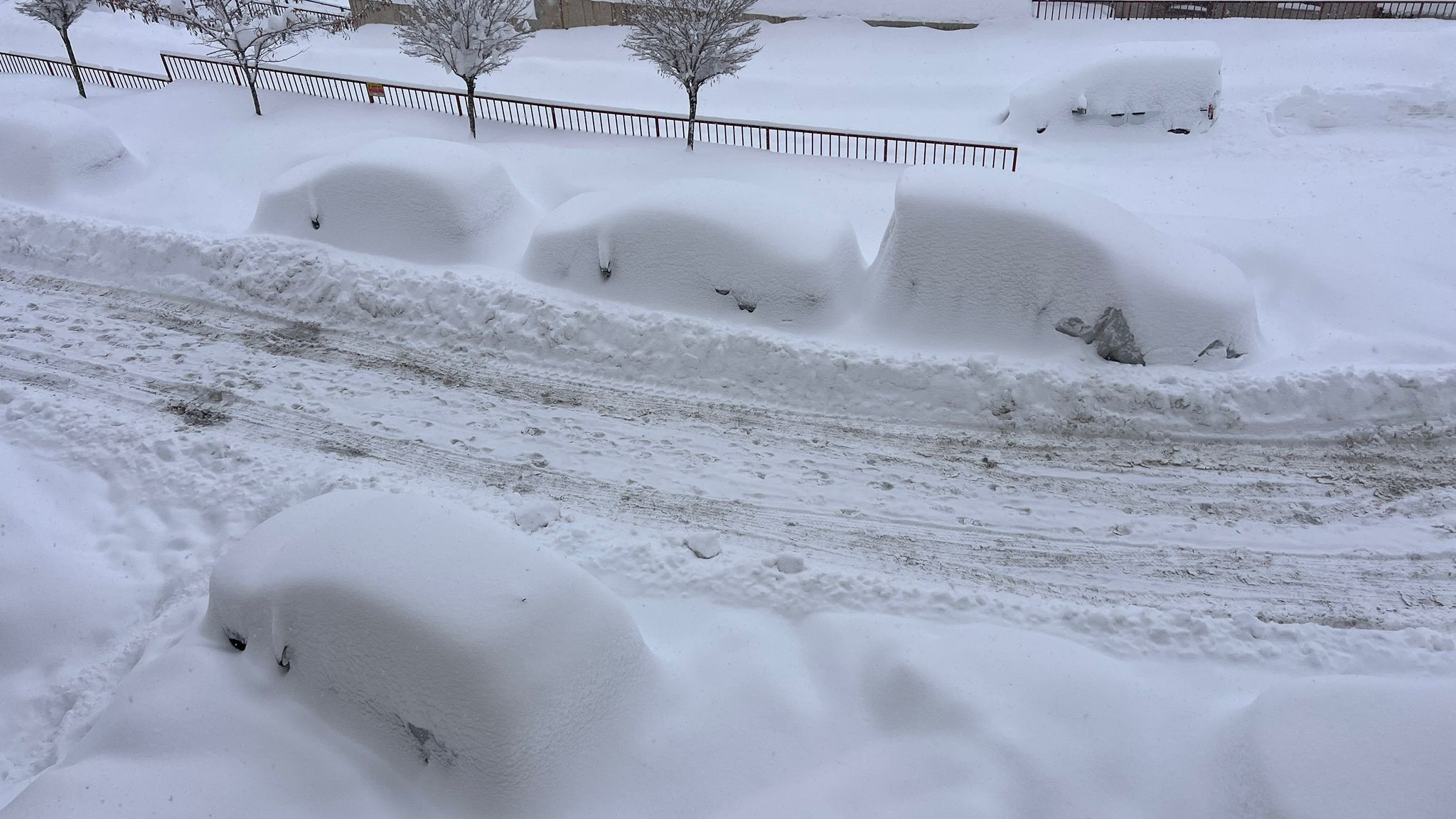 Yüksekova Haberleri - Yüksekova'da araçlar kara gömüldü, 177 yerleşim ...