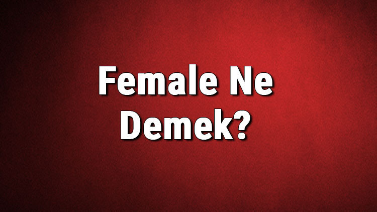 Female Ne Demek? Female Kelimesinin Türkçe Anlamı Nedir? - Son Dakika Haber